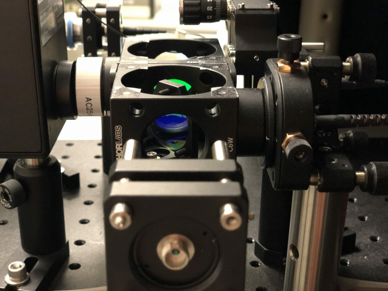 Closed-Loop Optogenetics – Soltesz Lab