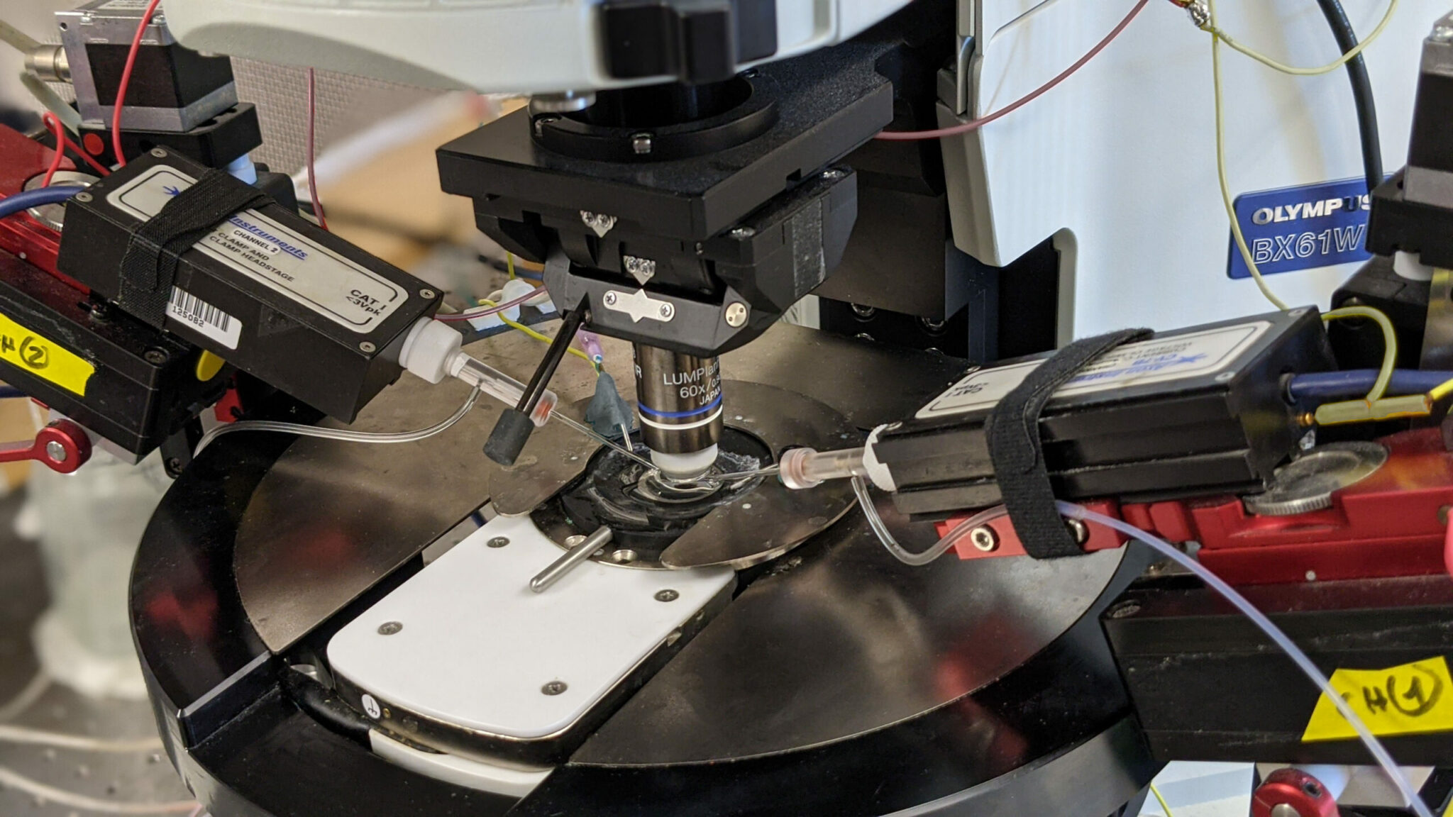 Patch-Clamp Recordings – Soltesz Lab