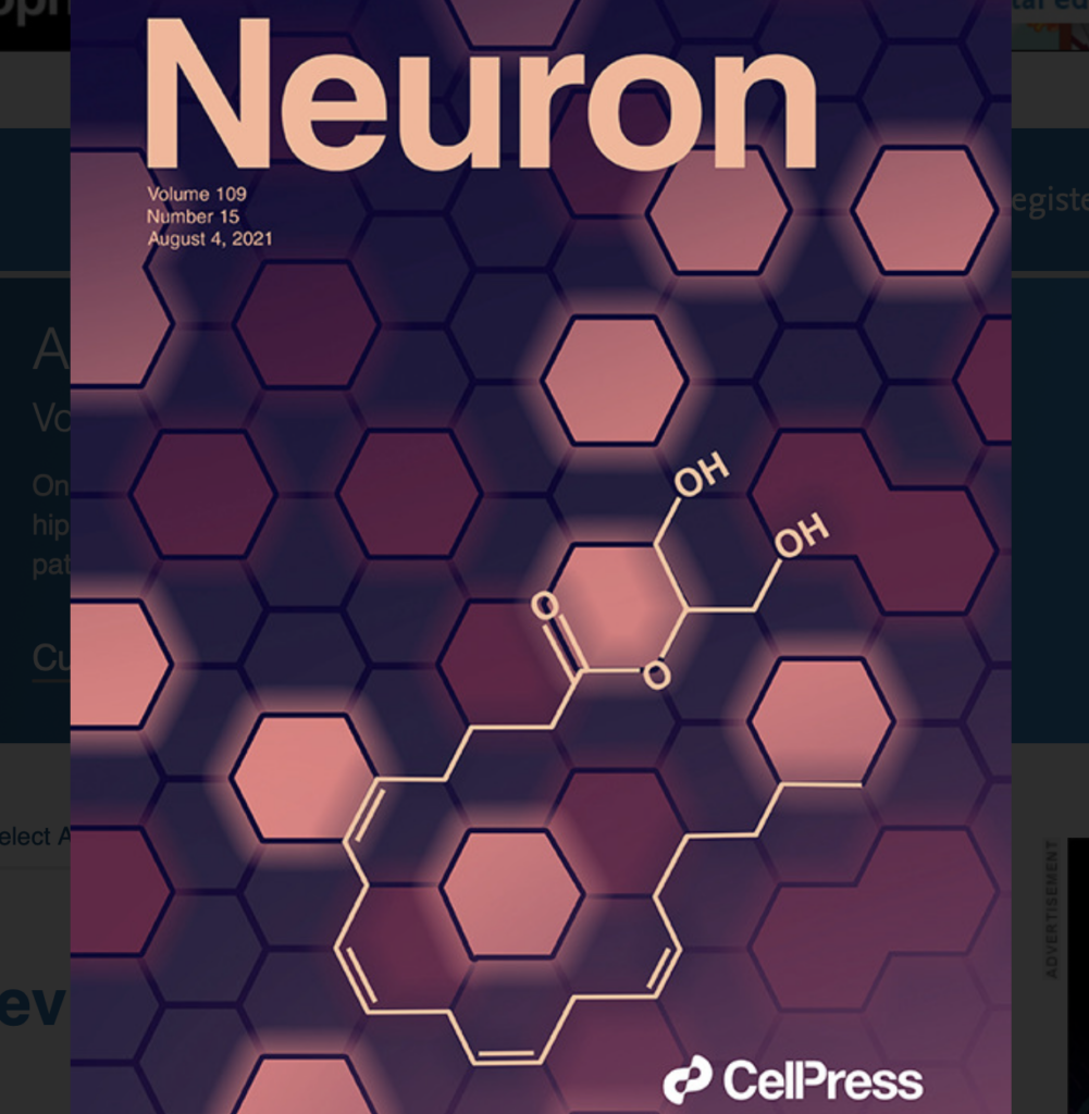 Publications – Soltesz Lab