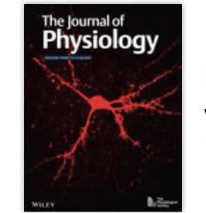 Publications – Soltesz Lab