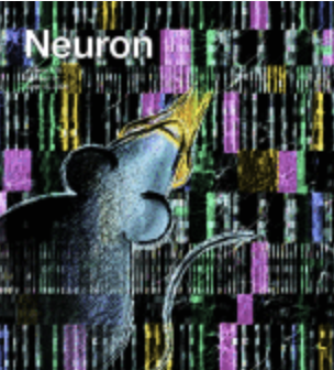 Publications – Soltesz Lab