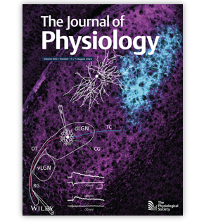 Publications – Soltesz Lab