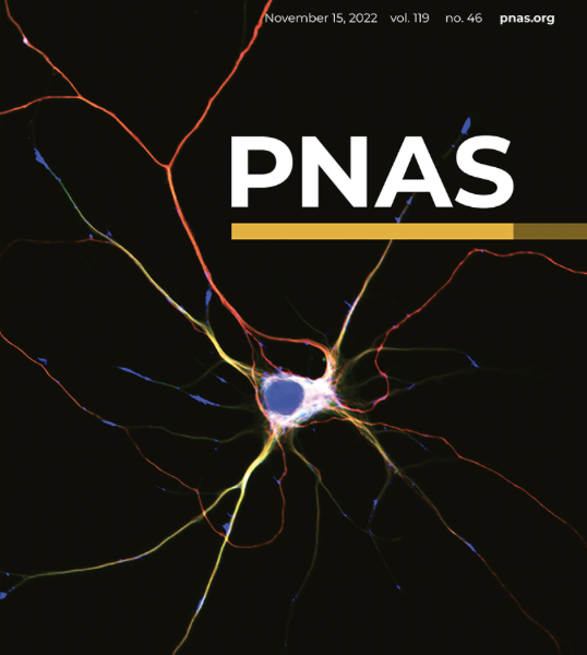 Publications – Soltesz Lab