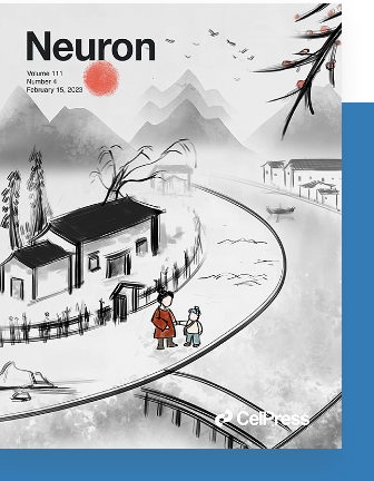 Publications – Soltesz Lab